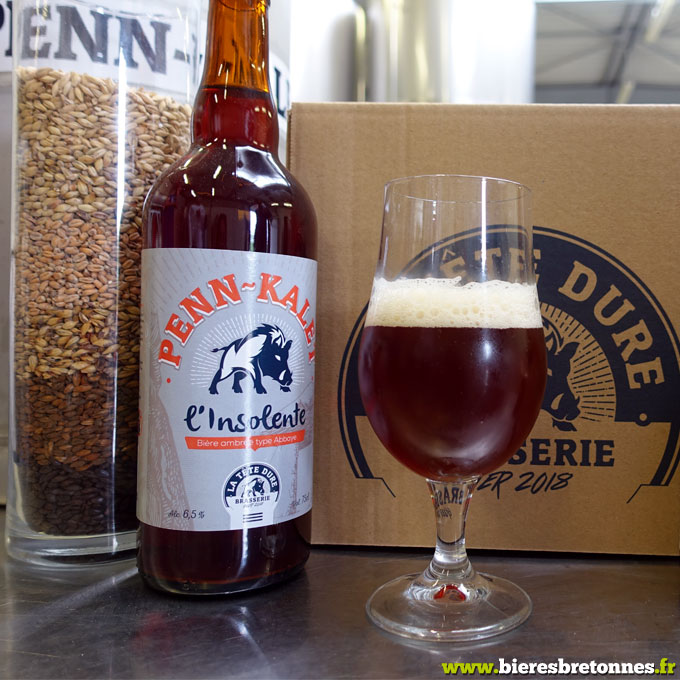 Penn Kalet L'Insolente, ambrée de type Abbaye - Brasserie La Tête Dure